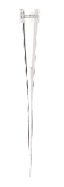 Fisherbrand SureOne Low Retention Filtered Pipette Tips:Pipette ...
