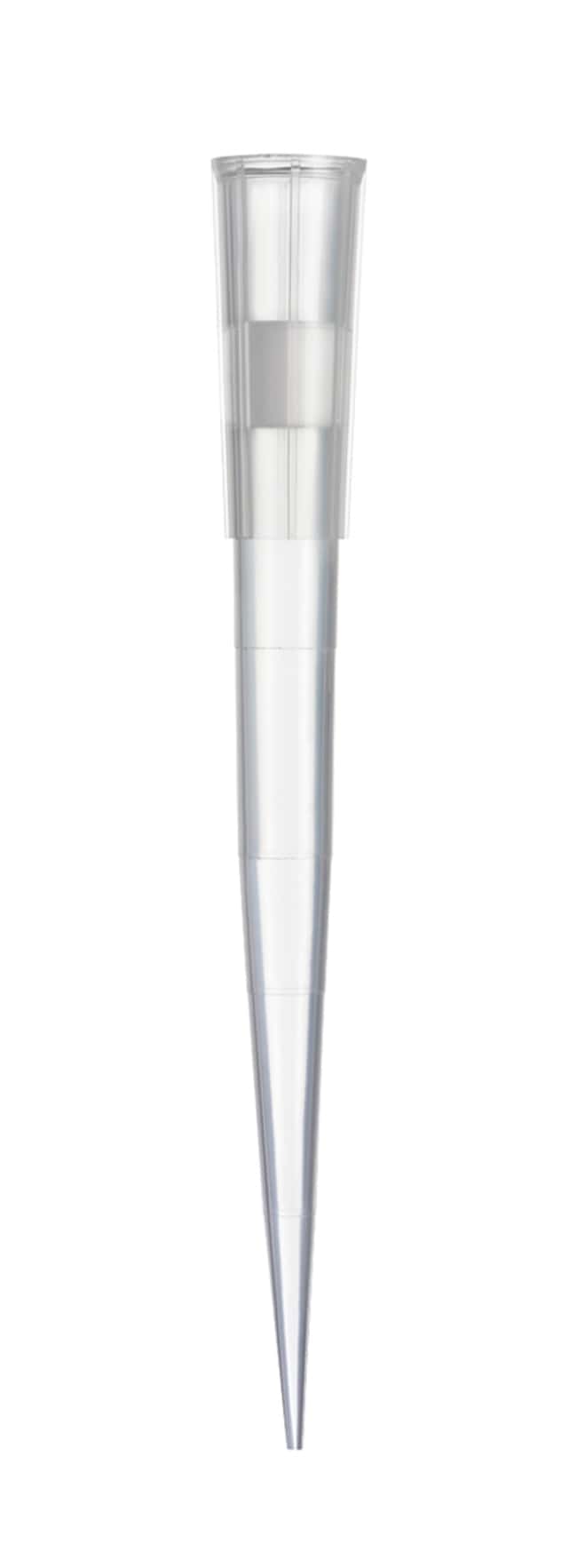 Fisherbrand SureOne Low Retention Filtered Pipette Tips:Pipette ...