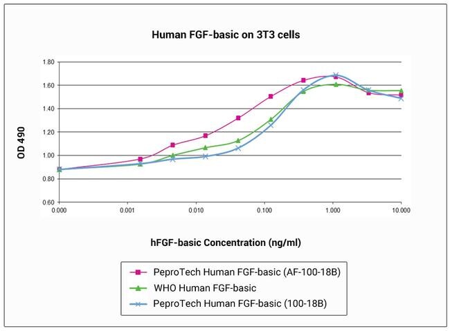 Gibco Human FGF-basic (FGF-2/bFGF) (154 aa) Recombinant Protein, PeproTech | Fisher Scientific