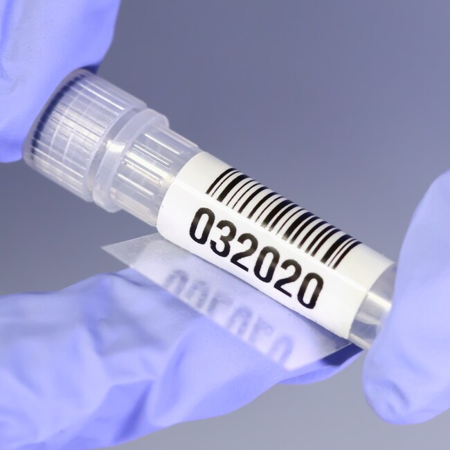 Computype Inc LABELS ID3858 TS8181X2.28 50/R, Quantity: Each of 1 ...