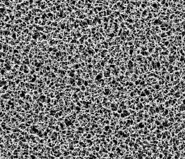 Sartorius Cellulose Nitrate Membrane Filter Pore Size: 0.45 μm:Filters ...