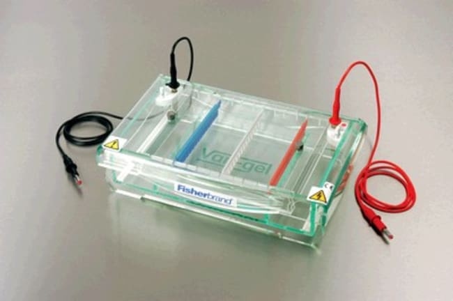 Fisherbrand™ Vari-Gel Tank Mini System with 2-Gel Tray Gel Dimensions ...