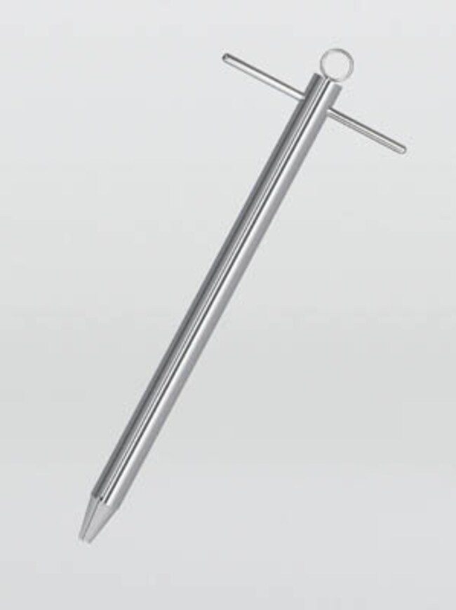 Buerkle Stainless Steel Valve Lance Samplers Length: 550mm ...