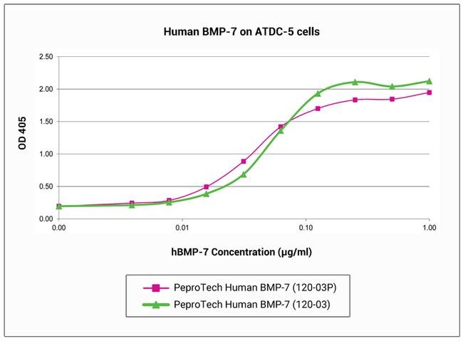 Gibco Human BMP-7 Recombinant Protein, PeproTech 5 x 100 µg:Recombinant ...