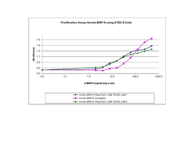 Gibco Human BMP-6 Recombinant Protein, PeproTech 250 µg:Recombinant ...