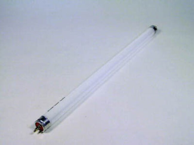 GE Healthcare White Light Tube Wattage: 8W General Purpose Lamps ...