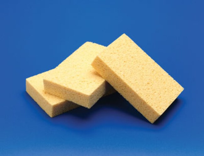 Cellulose Sponge Sponges and Scrubbers [Janitorial] | Fisher Scientific