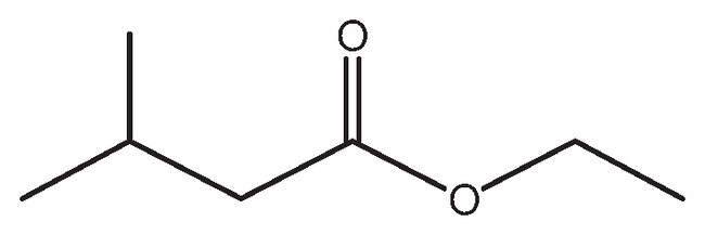 Ethyl isovalerate, 99%, ACROS Organics™ 500mL; Glass bottle Ethyl ...