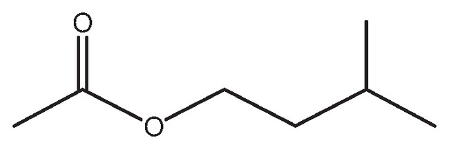 Isoamyl Acetate, +99%, Pure, ACROS Organics :Chemicals:Organic Compounds