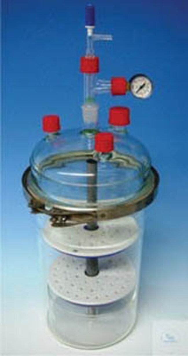 Witeg™ Exsikkator Boro 3.3 beheizbar bis 121°C, Druck u. Vakuum ...