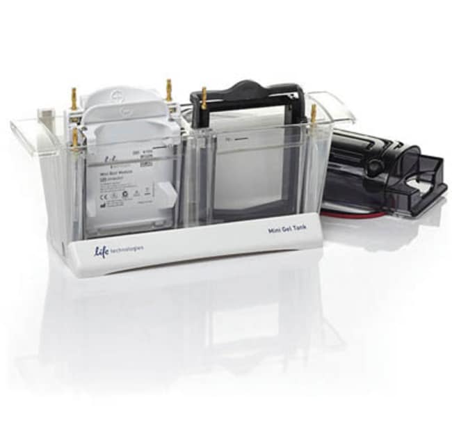 Invitrogen™ Mini Gel Tank and Blot Module Set With two blot modules ...
