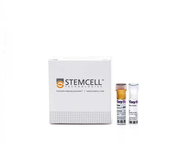 STEMCELL Technologies EasySep Mouse CD90.1 Positive Selection Kit 2 x ...