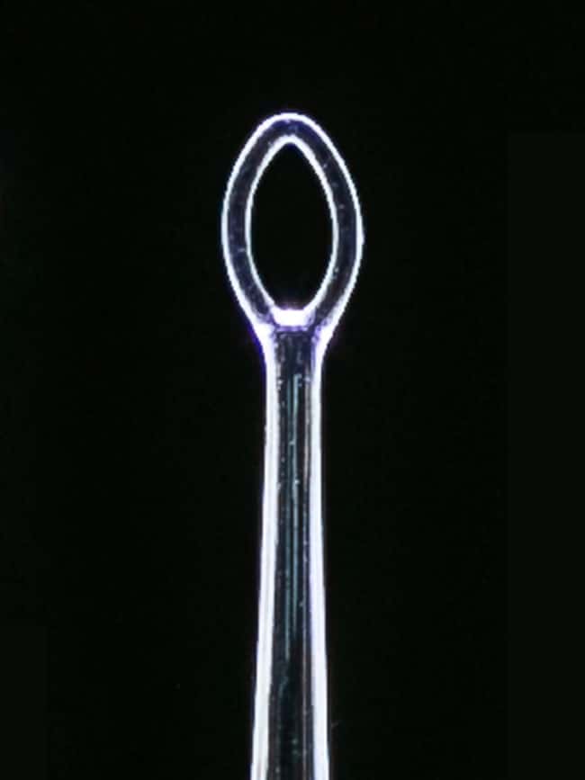 MEDPLUS SERVICES USA ClearLook Lighted FlexLoop Ear Curette, Quantity ...