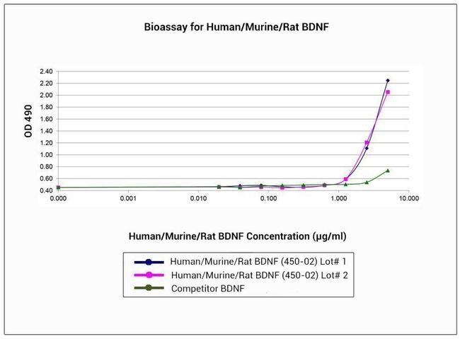 Gibco Human/Mouse/Rat BDNF Recombinant Protein, PeproTech 50 µg ...