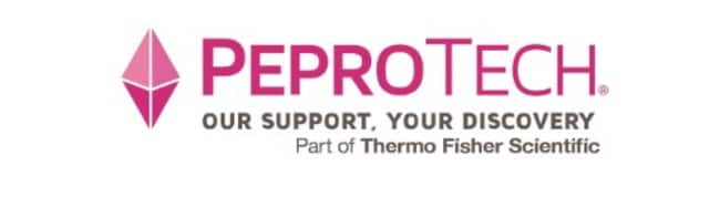 Pepro Tech Inc FGF2 Polyclonal Antibody PeproTech, 1 MG, Quantity: Each ...