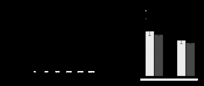 AdipoGen Iron Colorimetric Assay Kit (Ferrozine Method), Quantity: Each ...