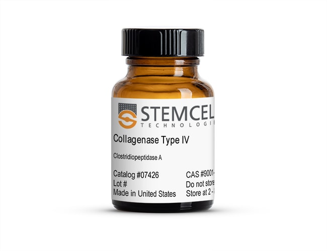 STEMCELL Technologies Collagenase Type IV, Size: 1 g, Quantity: Each of ...