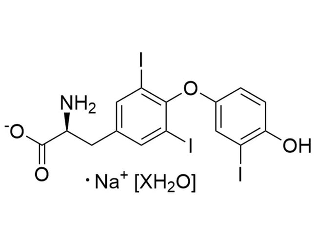 STEMCELL Technologies 3,3',5-Triiodo-L-thyronine (Sodium Salt Hydrate ...