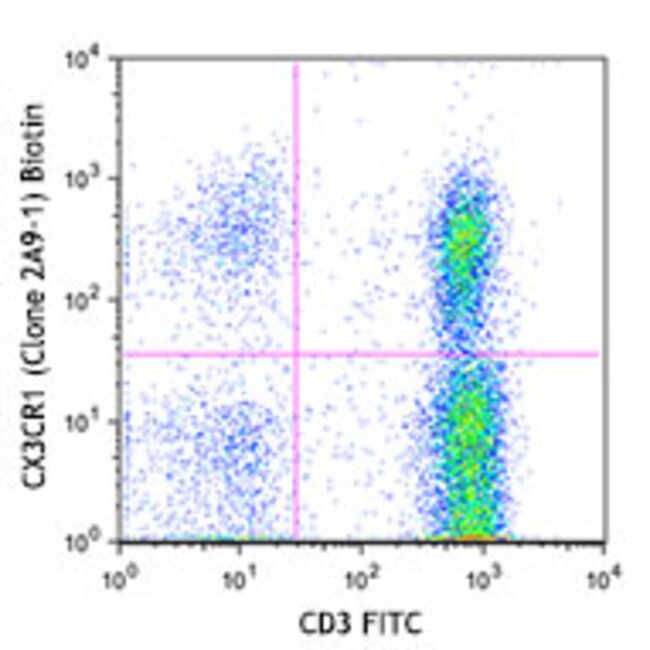 Biolegend Biotin anti-human CX3CR1 | Fisher Scientific