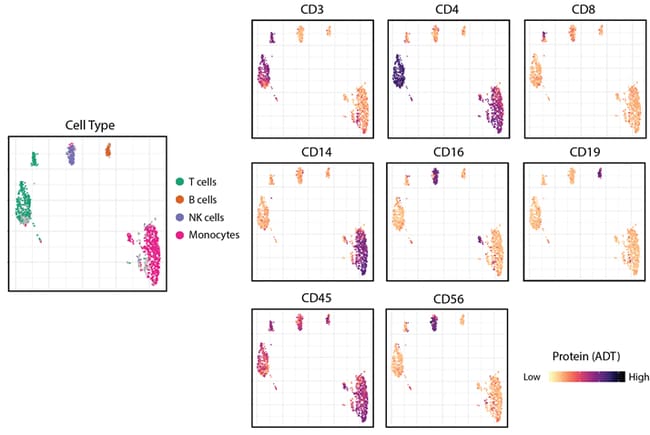 Biolegend TotalSeq -DHuman Heme Oncology Cocktail, V1.0, Quantity: Each ...