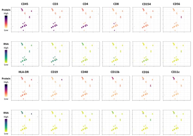 Biolegend TotalSeq -AHuman Universal Cocktail, V1.0, Quantity: Each of ...