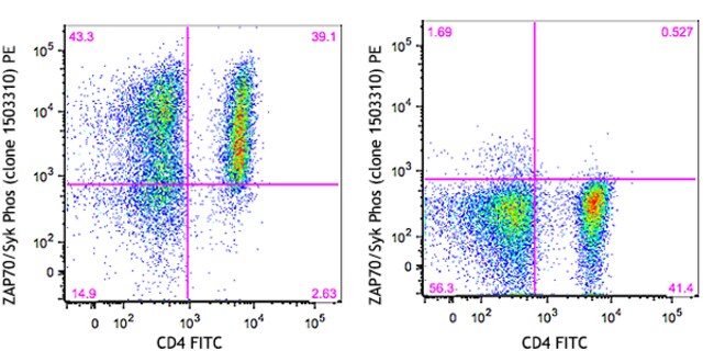 Biolegend PE anti-ZAP70 Phospho (Tyr319)/Syk Phospho (Tyr352), Quantity ...