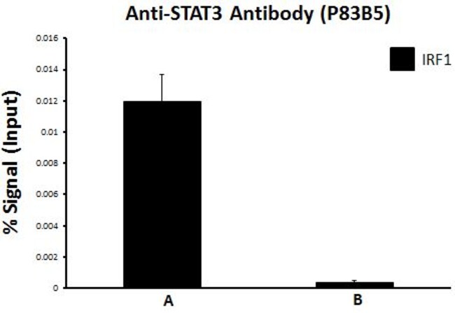 Biolegend Go-ChIP-Grade Purified anti-STAT3, Quantity: Each of 1 ...