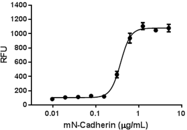 Biolegend Recombinant Mouse N-Cadherin-Fc Chimera (carrier-free ...
