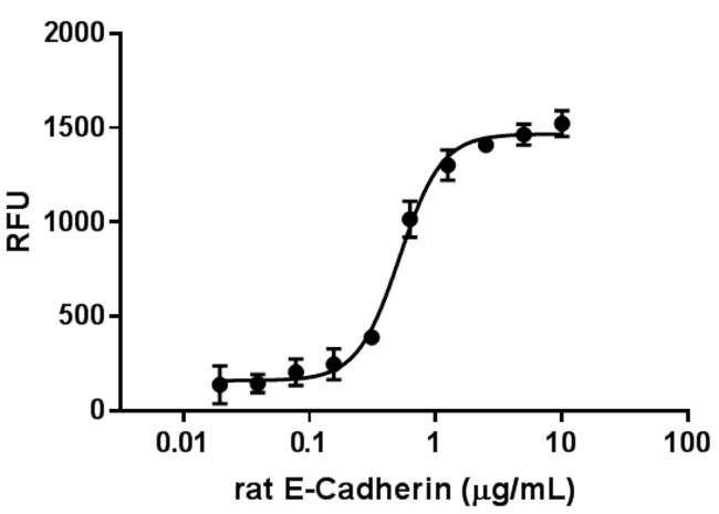 Biolegend Recombinant Rat E-Cadherin-Fc Chimera (carrier-free ...