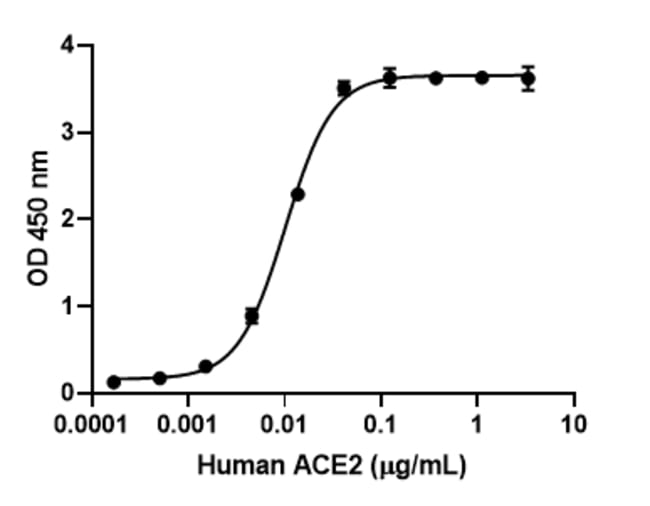 Biolegend Recombinant Sars Cov 2 S Protein Rbd Fc Chimera Carrier Free