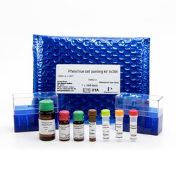 Revvity Health Sciences Inc PhenoVue Cell Painting Kit 1 x 384-wells ...