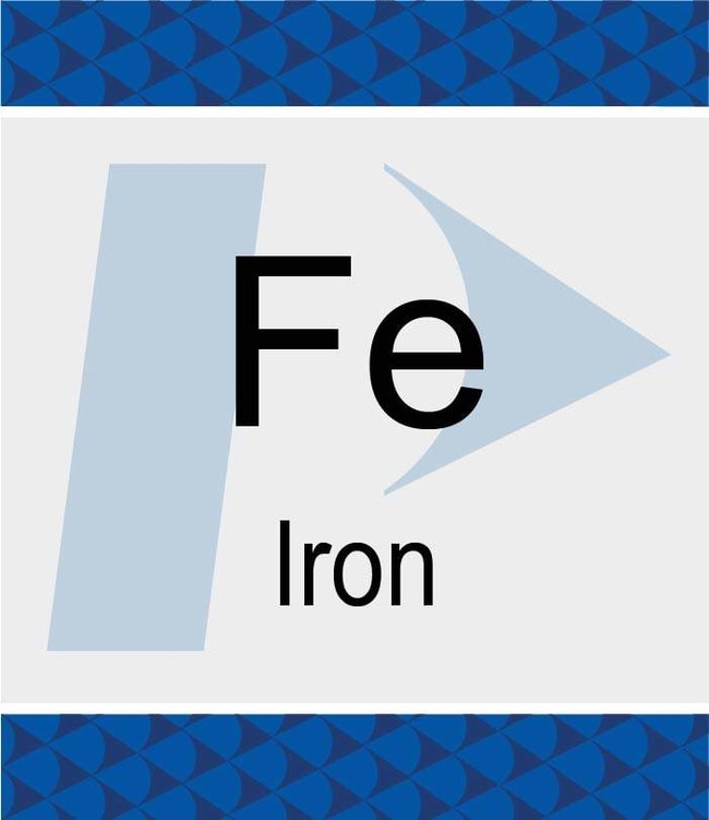 Perkin Elmer LLC Iron (Fe) Standard, 1000 µg/g, in Hydrocarbon Oil, 50 ...