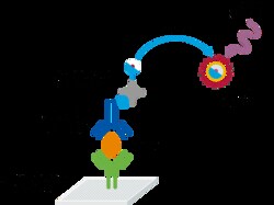 Revvity Health Sciences Inc DELFIA Eu-labeled Streptavidin Biotin ...