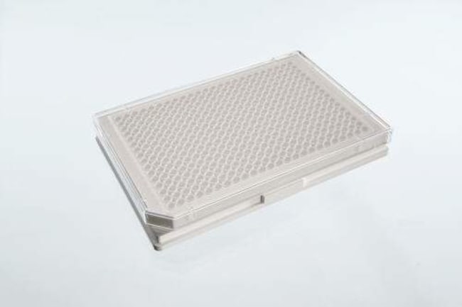 Revvity Health Sciences Inc ProxiPlate 384-shallow well Plus, white ...