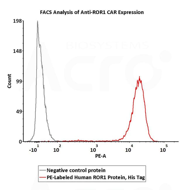 ACROBiosystems PE-LABELED HUMAN ROR1 PROTEIN, Quantity: Each of 1 | Fisher Scientific