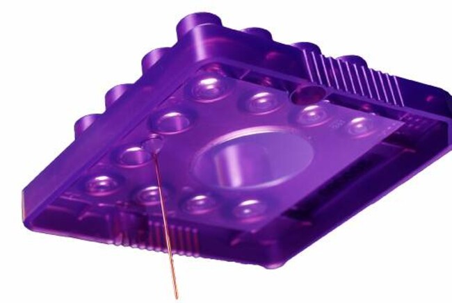 Revvity Health Sciences Inc High Resolution LabChip GXII, Touch 24 ...