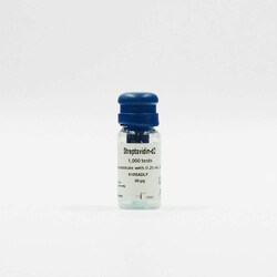 Revvity Health Sciences Inc HTRF Streptavidin d2-Conjugate, 1,000 Assay | Fisher Scientific