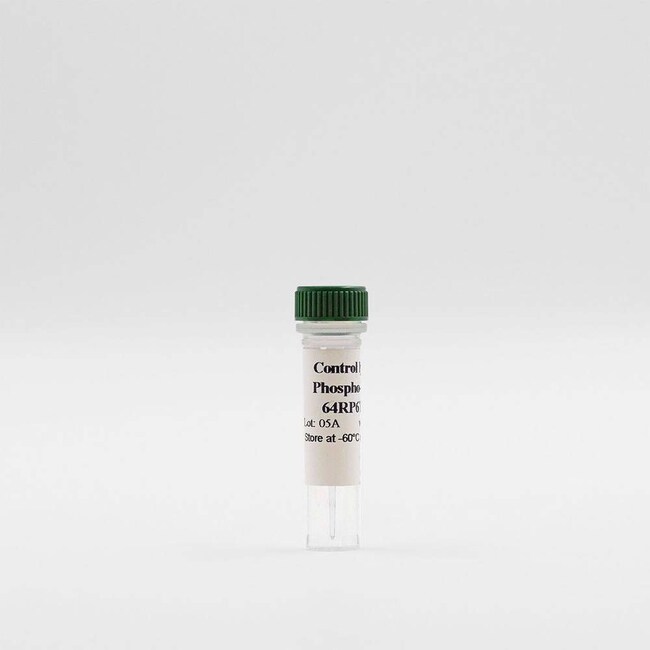 Perkin Elmer LLC Phospho-S6RP (Ser235/236) control lysate, 1 Item ...