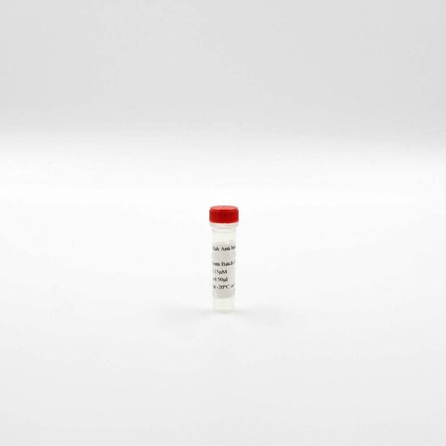 Revvity Health Sciences Inc Anti histone H3K9 Me2-EuK mAb conjugate ...