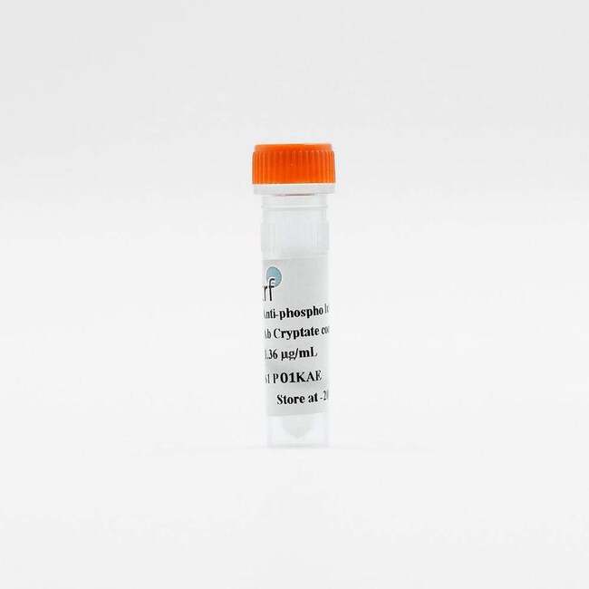 Perkin Elmer LLC PAb Anti-phospho PKA substrate-Eu cryptate, 500 Tests ...