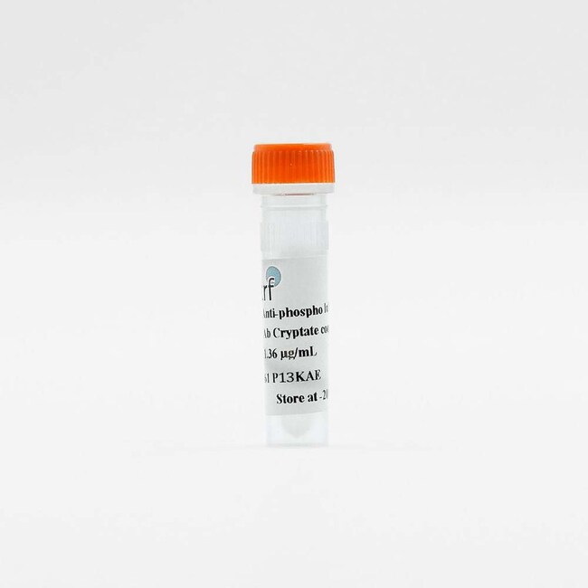 Perkin Elmer LLC MAb Anti-phospho CREB-Eu cryptate, 500 Tests | Fisher ...