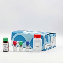 Revvity Health Sciences Inc HTRF cAMP Gi Detection Kit, 1,000 Assay ...