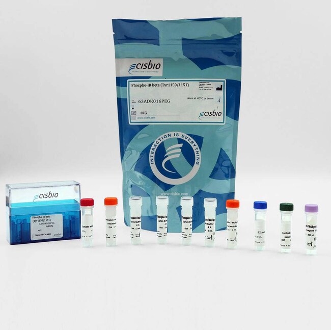 Perkin Elmer LLC Phospho-Insulin Receptor-beta (Tyr1150/1151) cellular ... Perkin Elmer LLC Phospho-Insulin Receptor-beta (Tyr1150/1151) cellular ...