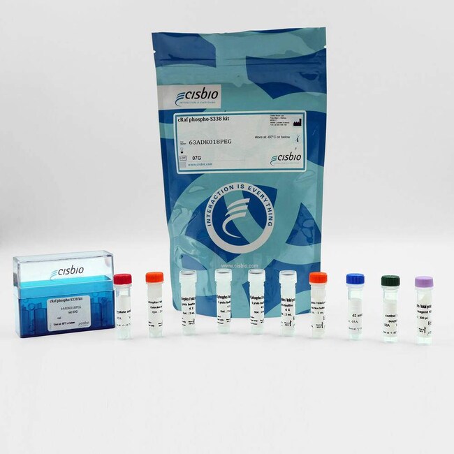 Perkin Elmer LLC Phospho-c-RAF (Ser338) cellular kit, 500 Tests ...