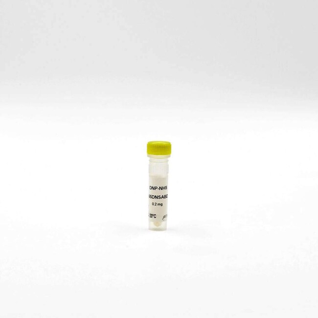 Revvity Health Sciences Inc DNP-NHS labeling reagent, 1 mg, Quantity ...