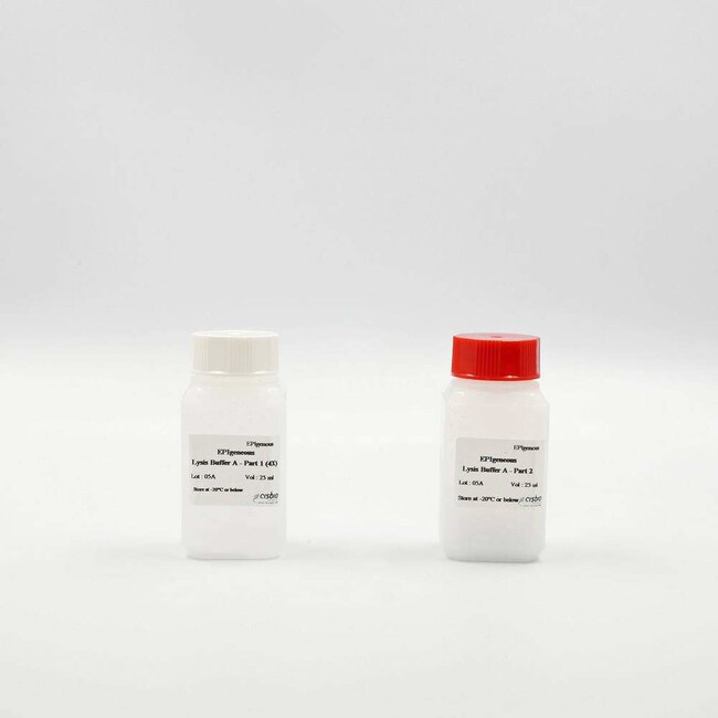 Perkin Elmer LLC EPIgeneous lysis buffer A, 500 Tests, Quantity: Each ...