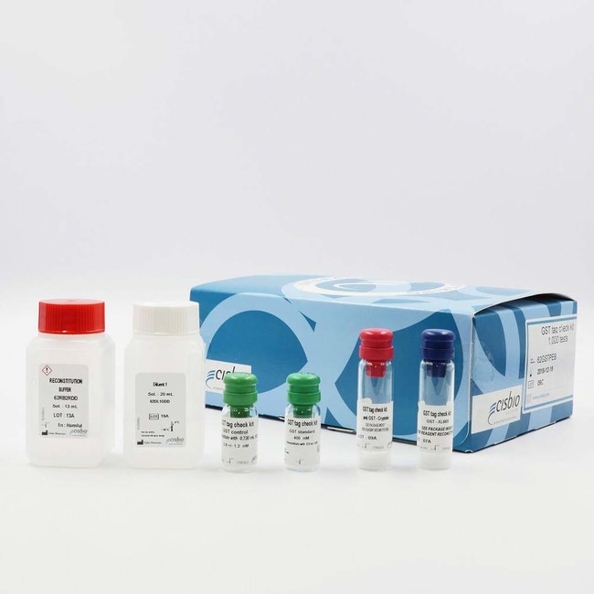 Revvity Health Sciences Inc GST check kit, 500 Tests, Quantity: Each of ...