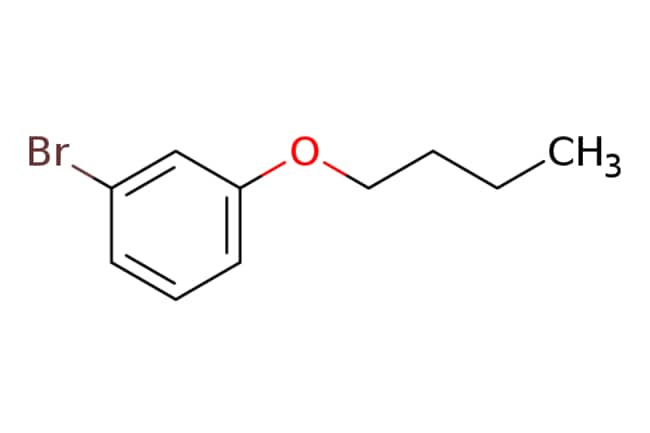 eMolecules 1-Bromo-3-butoxybenzene | 165800-57-7 | MFCD11127631 | 1g ...