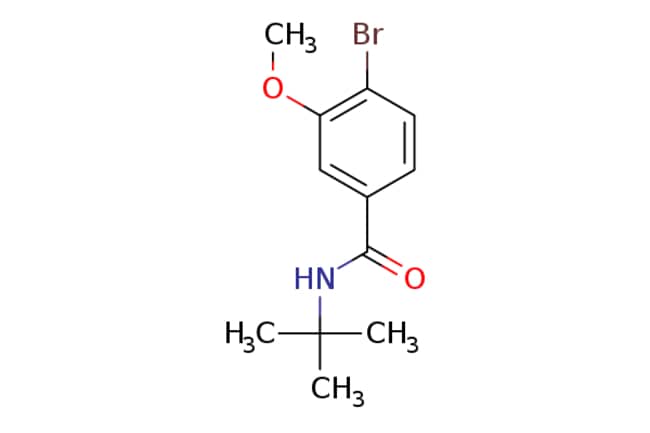 eMolecules N-t-Butyl 4-bromo-3-methoxybenzamide | 1072944-39-8 ...
