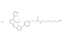 eMolecules BDP TR amine | 2183473-18-7 | | 50mg, Quantity: Each of 1 | Fisher Scientific